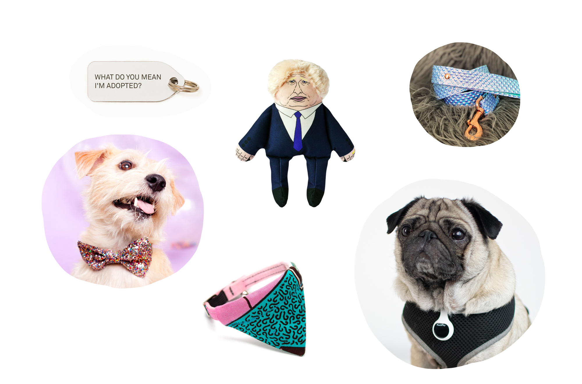 Pet Photo Gifts Australia Gift Ideas For Pet Lovers And Pets Enterisise Pet Photo Gifts Australia Gift Ideas For Pet Lovers And Pets Enterisise