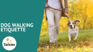 Dog Walking Etiquette: Tips For Being A Considerate Neighbor And ...