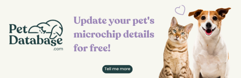 What Are The Government Approved Pet Microchip Databases In The UK?