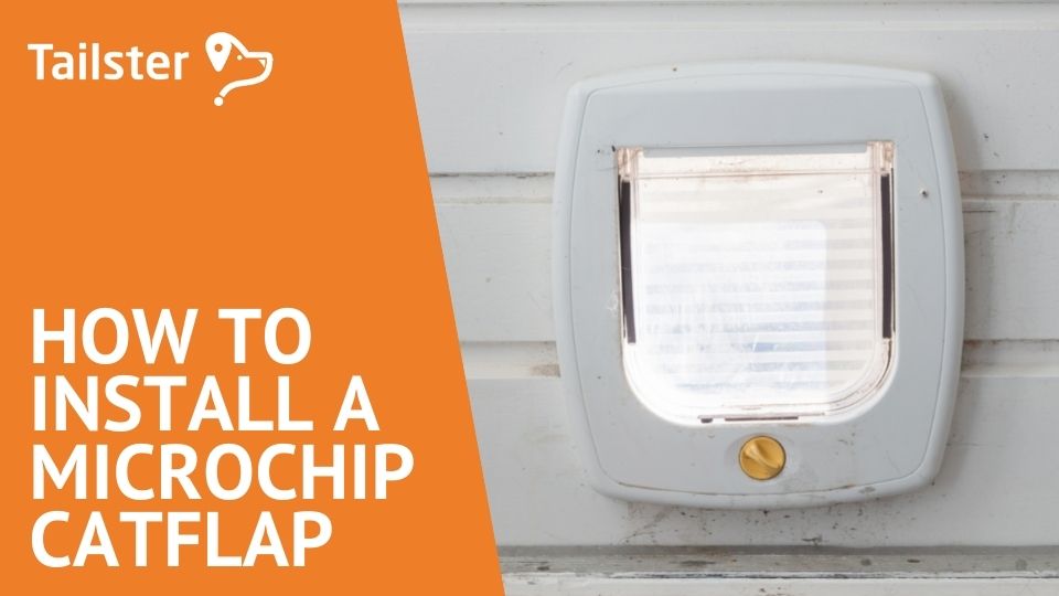 How To Install A Catflap