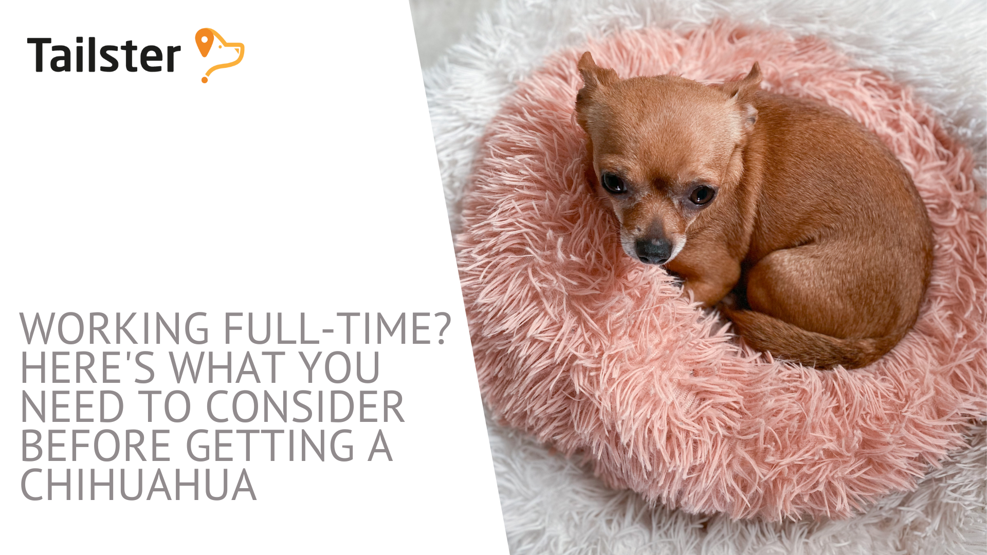 Working Full-Time? Here's What You Need To Consider Before Getting A ...