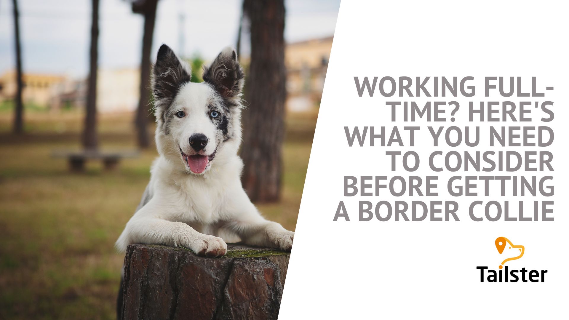 Working Full-Time? Here's What You Need To Consider Before Getting A ...