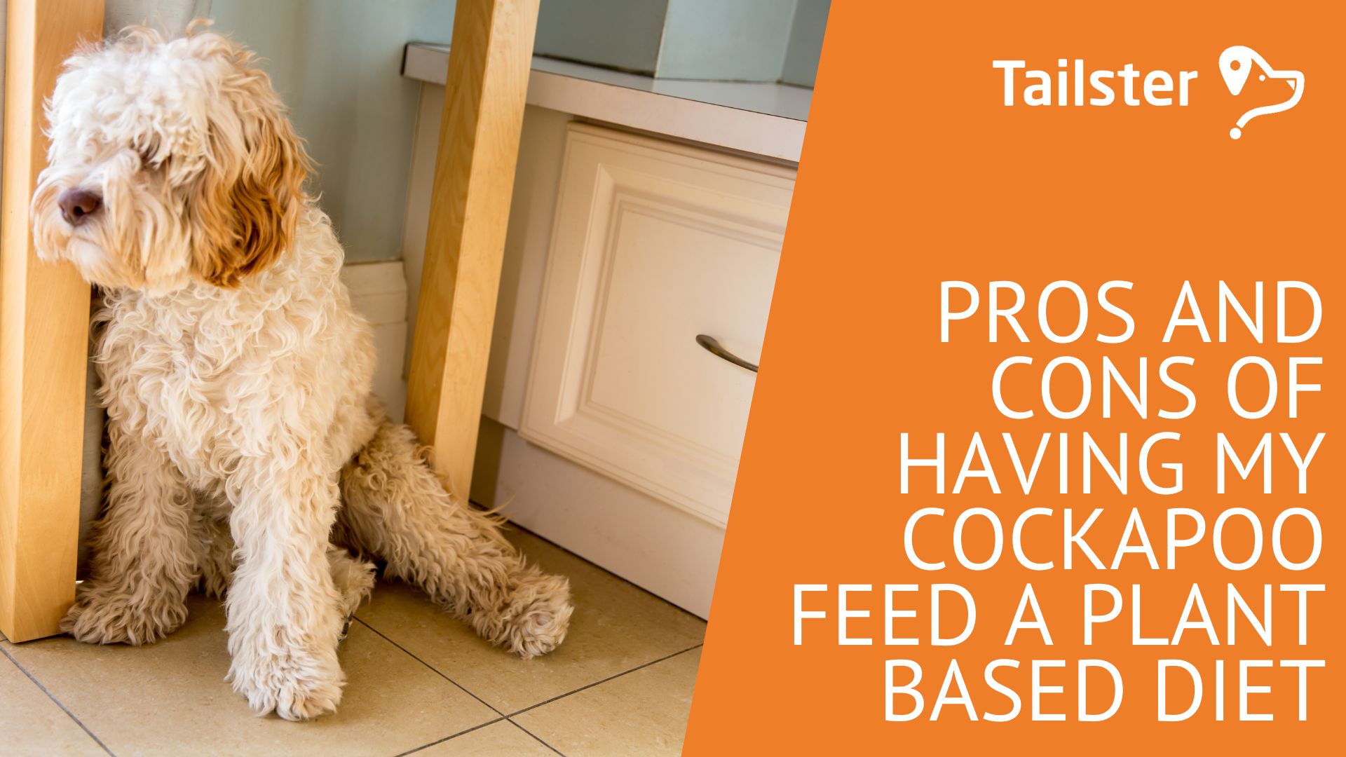 Pros And Cons Of Having My Cockapoo Feed A Plant Based Diet
